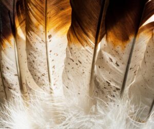 Indigenous Women - Transcendental Meditation (TM) For Women